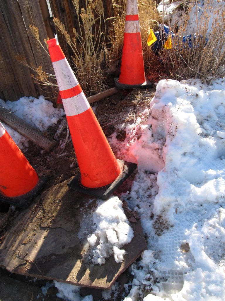 Unexpected garden disastersMr. Vintage Man